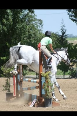 HIGH STANDARD EQUESTRIANS - Updated November 2025 - 11120 Bradley Ranch ...