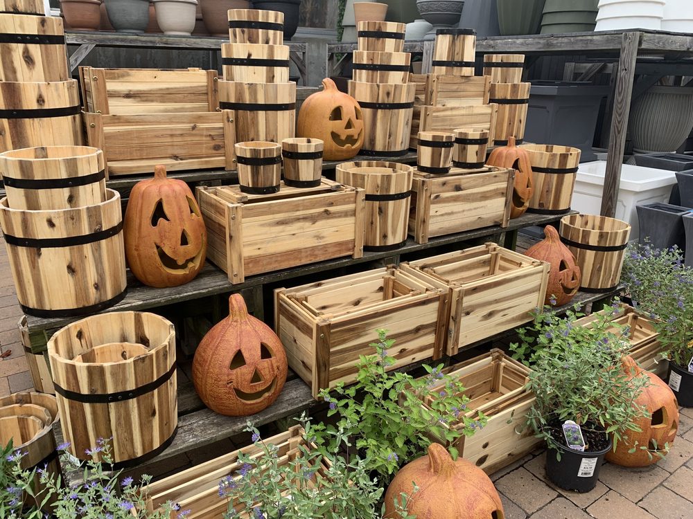 AMERICAN PLANT - BETHESDA - 42 Photos & 39 Reviews - 7405 River Rd ...