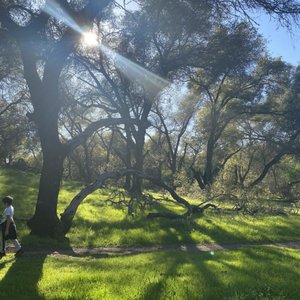 JOHNSON-SPRINGVIEW PARK - 71 Photos & 27 Reviews - Parks - 5480 5th St ...