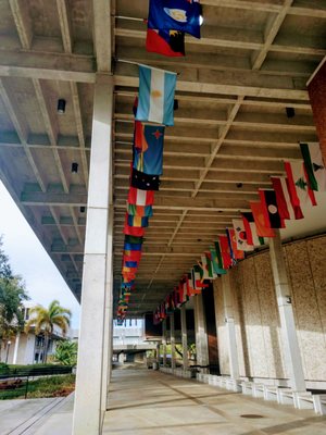 MIAMI DADE COLLEGE KENDALL CAMPUS - Updated January 2025 - 146 Photos ...