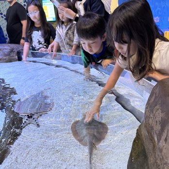 DISCOVERY CUBE ORANGE COUNTY - Updated July 2025 - 2257 Photos & 1013 ...