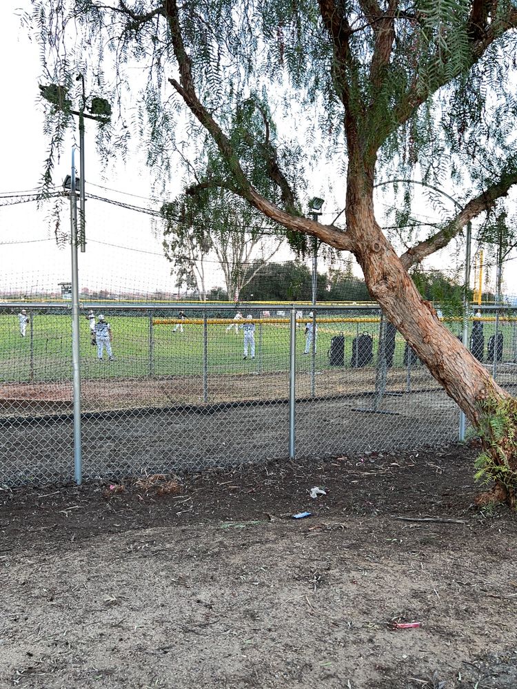 INGOLD SPORTS PARK - Updated November 2025 - 19 Photos - 2551 Olive ...