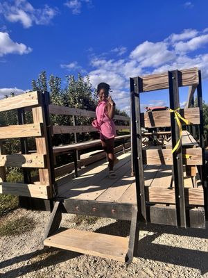 APPLE RIDGE ORCHARDS - Updated December 2025 - 243 Photos & 110 Reviews ...