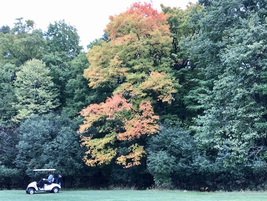 CHICK EVANS GOLF COURSE - Updated September 2024 - 10 Photos & 40 ...