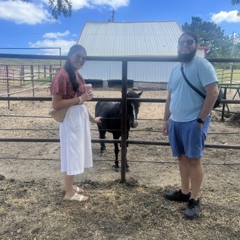 NELSON PRODUCE FARM - Updated July 2025 - 163 Photos & 24 Reviews ...