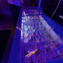 KPOT KOREAN BBQ & HOT POT - Updated July 2025 - 45 Photos & 31 Reviews ...