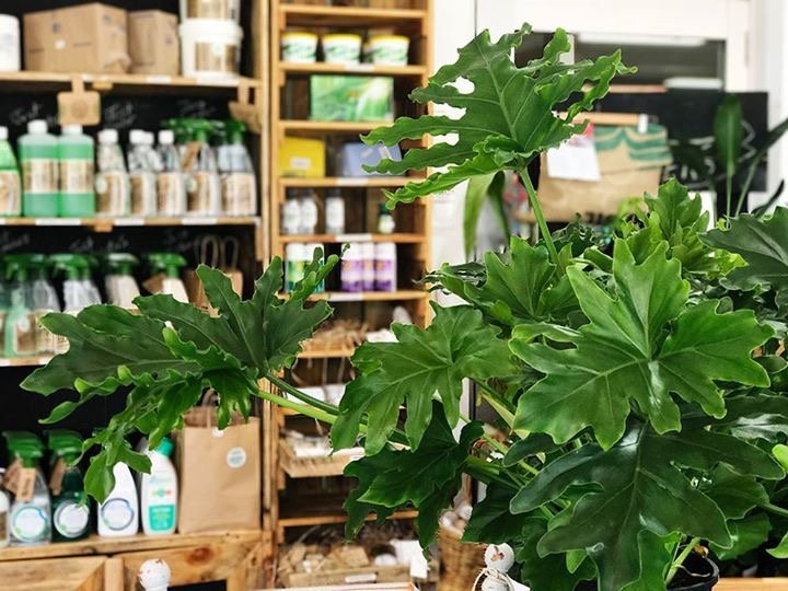 FSG CAFE - Updated August 2025 - 20 Railway St, Southport Queensland ...