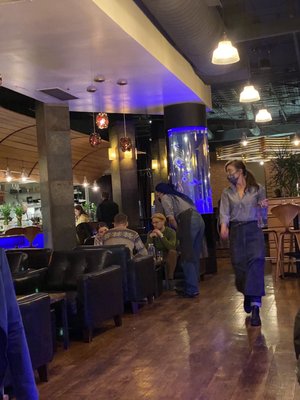 JAPANGO - Updated December 2025 - 455 Photos & 557 Reviews - 1136 Pearl ...