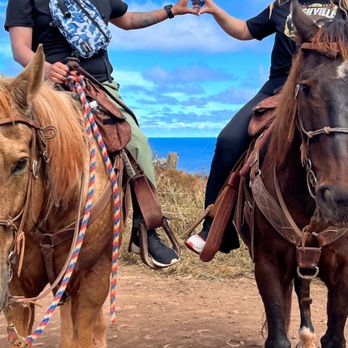 CIRCLE M RANCH - Updated May 2025 - 427 Photos & 269 Reviews - 3530 ...