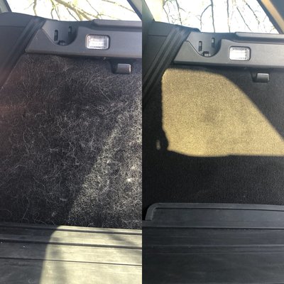 HALO DETAILING - Updated December 2025 - 84 Photos & 44 Reviews - 2331 White Ave, Nashville ...