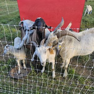 BUCKEYE IMAGINATION MUSEUM - Updated January 2026 - 15 Photos - 175 W ...