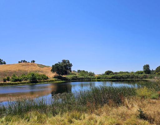 OLMSTEAD LOOP TRAIL - Updated December 2025 - 10 Photos - Behind Fire ...