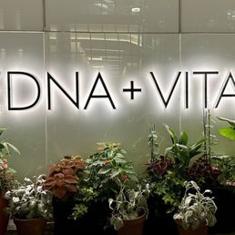 EDNA + VITA - Updated March 2025 - 39 Photos & 22 Reviews - 77 Adelaide St W, Toronto, Ontario ...