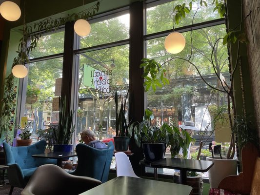 SMALL POINT CAFÉ - 258 Photos & 398 Reviews - 230 Westminster St ...