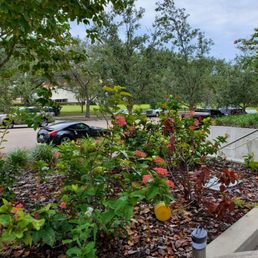 THE LIBRARY - Updated August 2025 - 2264 Photos & 1160 Reviews - 600 ...