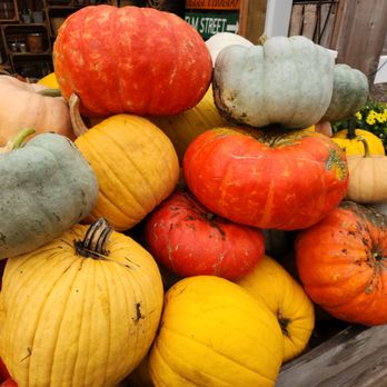 YESTERYEAR FARMS - Updated November 2024 - 181 Photos & 92 Reviews ...