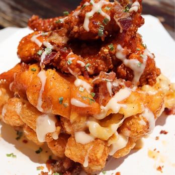 TINY BISCUIT - Updated June 2025 - 40 Photos & 22 Reviews - 9545 ...