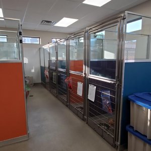 DENTON VETERINARY CENTER - Updated October 2025 - 51 Photos & 55 ...