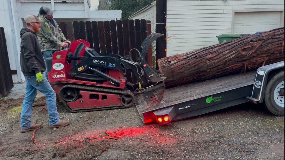 TAILORED TREE SERVICE - Updated June 2026 - 49 Photos & 137 Reviews ...