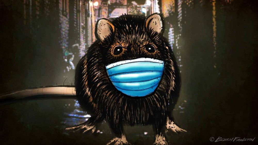 DEWEY PEST & TERMITE CONTROL - 60 Reviews - 26635 Pierce Cir, Murrieta ...