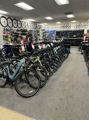 CYCLE CITY BICYCLES - Updated January 2026 - 71 Photos & 60 Verified ...