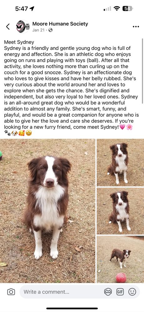 MOORE HUMANE SOCIETY - Updated August 2025 - 11 Reviews - 5355 Nc Hwy ...