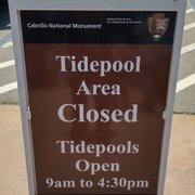 POINT LOMA TIDE POOLS - 795 Photos & 122 Reviews - Beaches - Gatchell ...