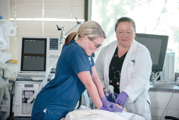 PIMA MEDICAL INSTITUTE - RENTON - Updated January 2026 - 10 Photos & 36 ...