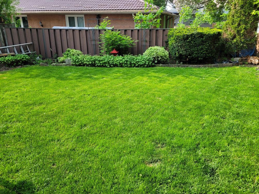RICH LAWN MAINTENANCE - Updated November 2024 - 23 Photos - Newmarket ...