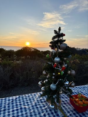 CRYSTAL COVE STATE PARK: EL MORO CANYON - Updated May 2026 - 476 Photos ...
