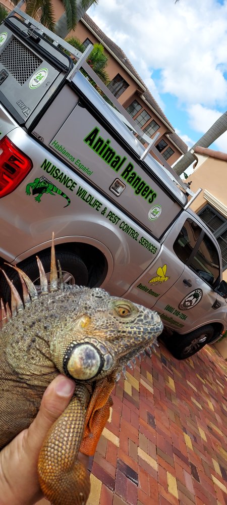 ANIMAL RANGERS - Updated December 2025 - 82 Photos - Port St. Lucie ...