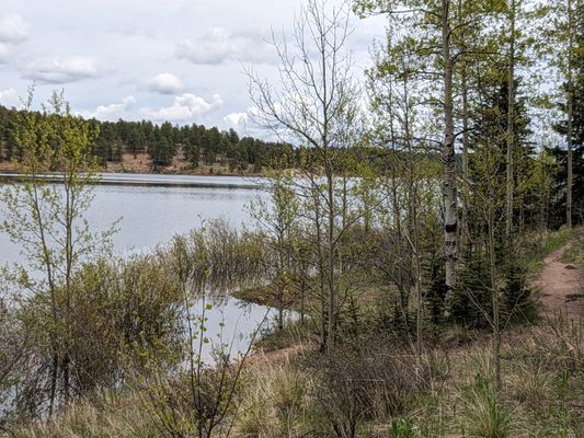 RAMPART RESERVOIR - Updated June 2025 - 18 Photos & 11 Reviews - Forest ...