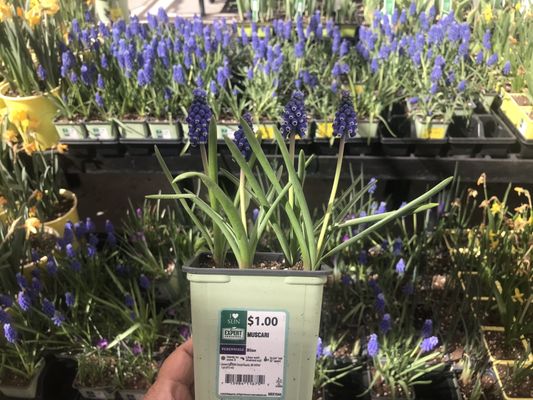 WALMART - Updated June 2024 - 109 Photos & 213 Reviews - 2050 W ...