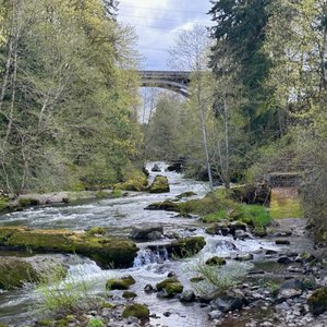 ELD INLET - Updated June 2025 - 11 Photos - Olympia, Washington ...