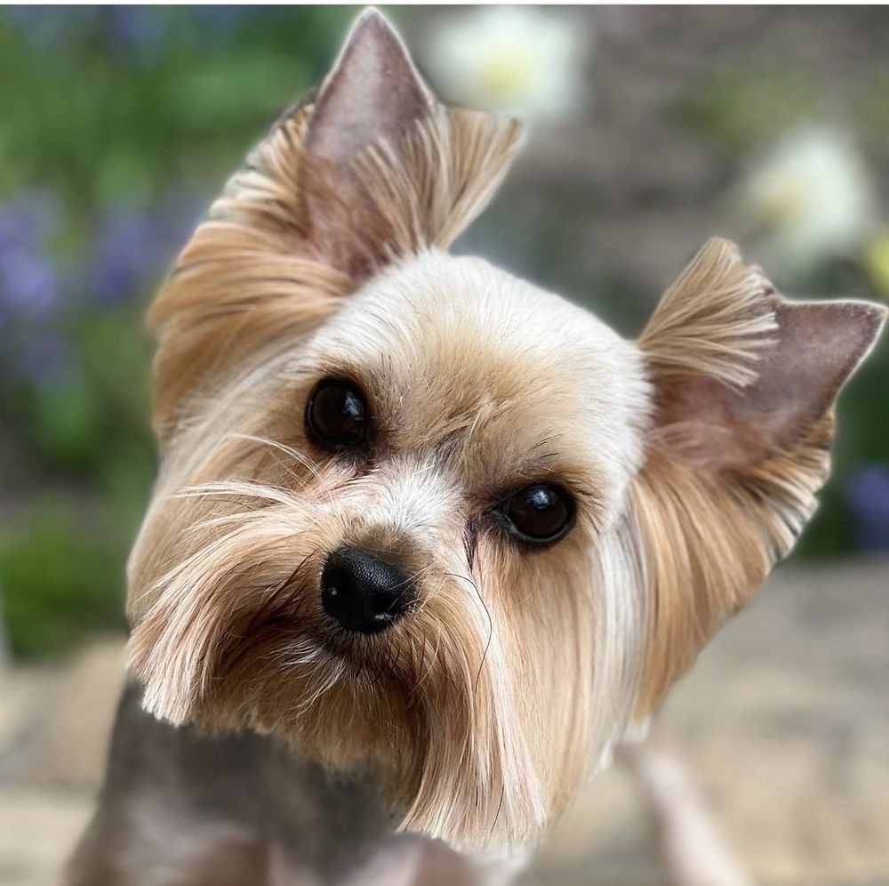 FURRY LAND - JACKSONVILLE - Updated September 2025 - 37 Photos ...