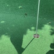 CAMERON RUN REGIONAL PARK - 61 Photos & 48 Reviews - Mini Golf - 4001 ...