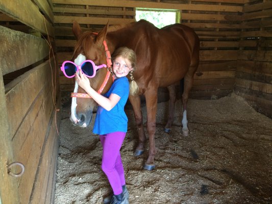 PINE RIDGE STABLE’S - Updated June 2025 - 31 Photos - 3693 Horseshoe ...