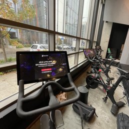 THE COLLECTIVE SEATTLE - Updated July 2025 - 158 Photos & 32 Reviews ...