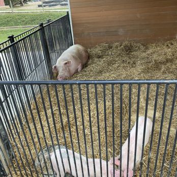 GOEBBERT’S FARM - Updated December 2025 - 341 Photos & 193 Reviews ...