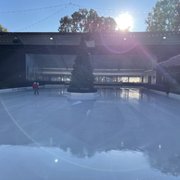 WINTER LODGE - TEMP. CLOSED - 70 Photos & 125 Reviews - Skating Rinks ...