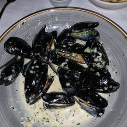 MISTRAL - Updated December 2024 - 503 Photos & 608 Reviews - 13422 ...