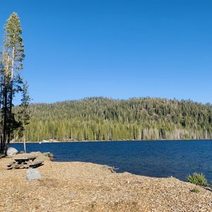 DINKEY CREEK CAMPGROUND - Updated January 2025 - 148 Photos & 78 ...