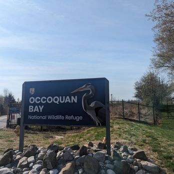 OCCOQUAN BAY NATIONAL WILDLIFE REFUGE - Updated November 2025 - 81 ...