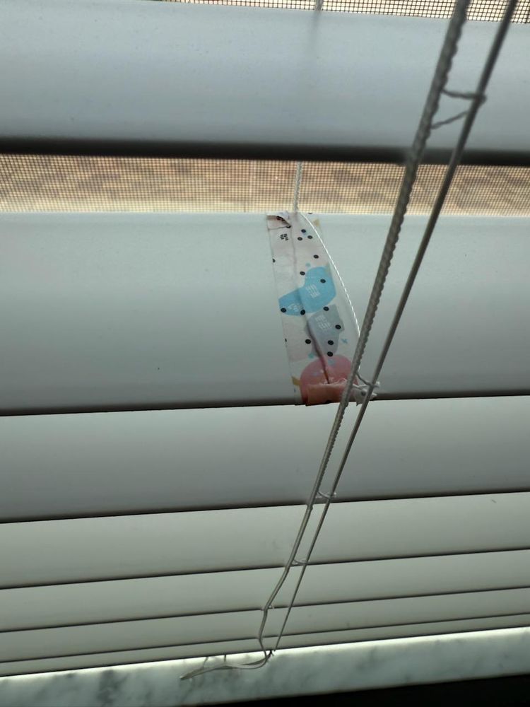 OPTIMAR INTERNATIONAL REALTY - Updated June 2025 - 12 Photos & 16 ...