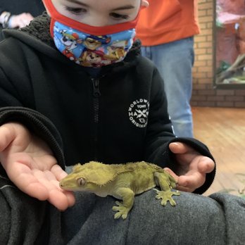 OBX LIZARD LAND - Updated January 2026 - 60 Photos & 21 Reviews - 2815 ...