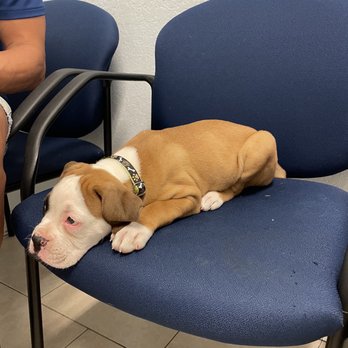 ARK & BARK ANIMAL HOSPITAL DEBBY BUTLER DVM - Updated October 2025 - 30 ...