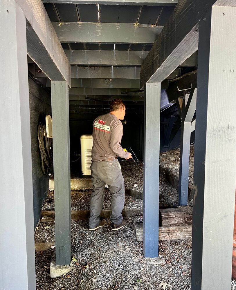 MAY ROBERT TERMITE & PEST MANAGEMENT - Updated October 2025 - 34 ...