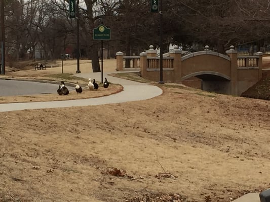 UNIVERSITY OF SCIENCE & ARTS OF OKLAHOMA - Updated May 2025 - 11 Photos ...