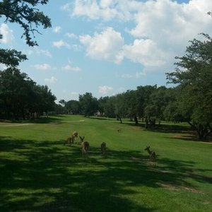 RIVERSIDE GOLF COURSE - Updated December 2025 - 45 Photos & 61 Reviews ...