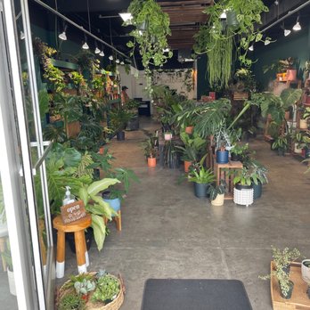 PLANTOEM - Updated June 2024 - 446 Photos & 97 Reviews - 3457 Waialae ...